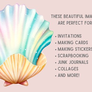 Watercolour Rainbow Seashell Clipart Beach Shells PNG Digital Image ...