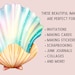 Watercolour Rainbow Seashell Clipart Beach Shells PNG Digital Image ...