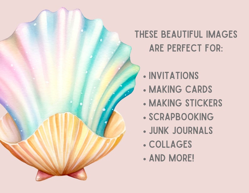 Watercolour Rainbow Seashell Clipart Beach Shells PNG Digital Image ...
