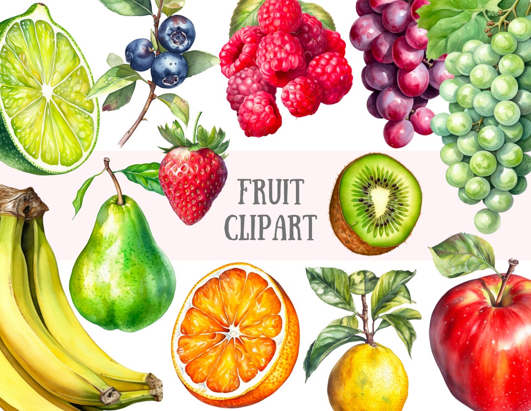 Watercolour Fruit Clipart Strawberry Blueberry Apple Grapes PNG Digital ...