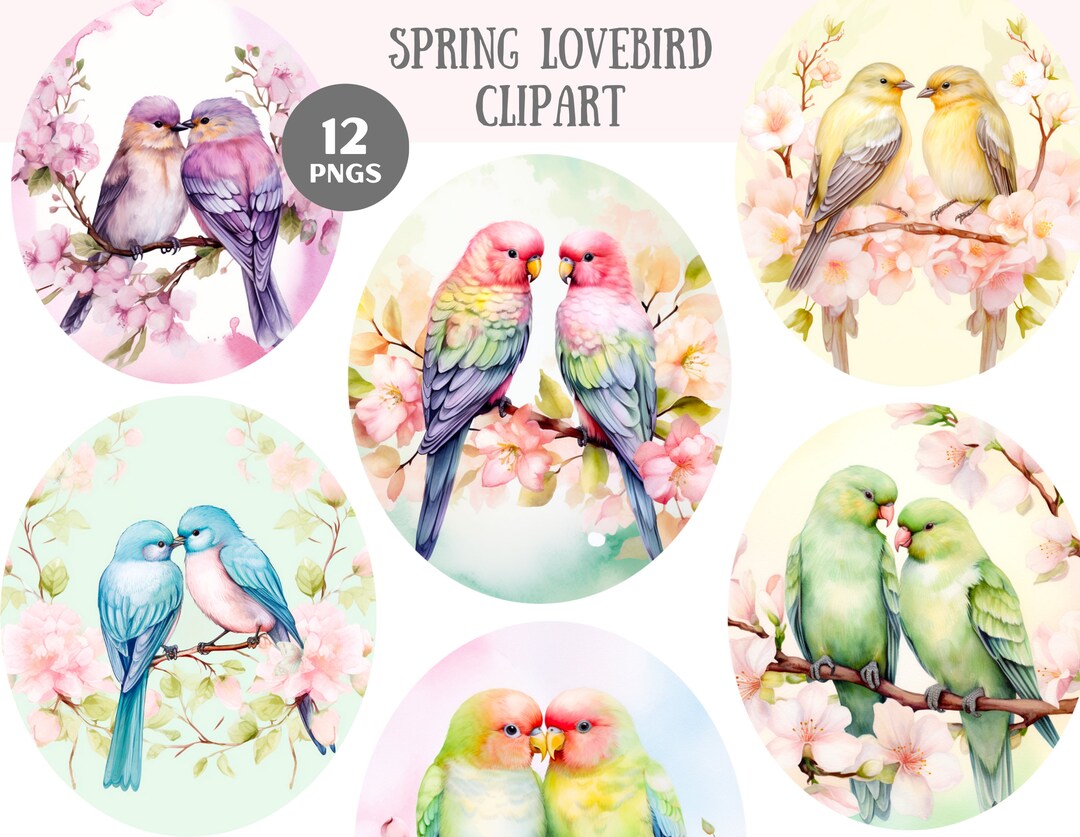 Watercolour Spring Lovebird Clipart Pastel Floral Love Birds PNG ...