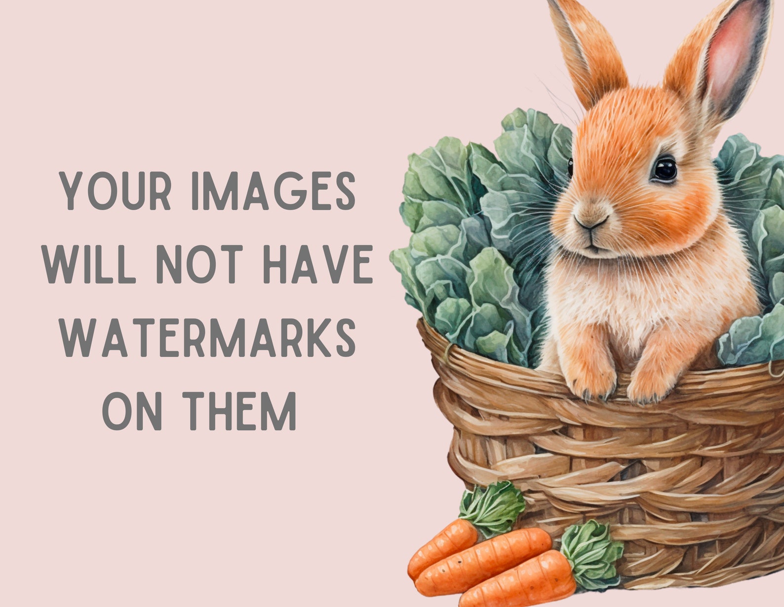 Watercolour Bunny and Carrot Clipart - Easter Basket PNG Digital Image ...