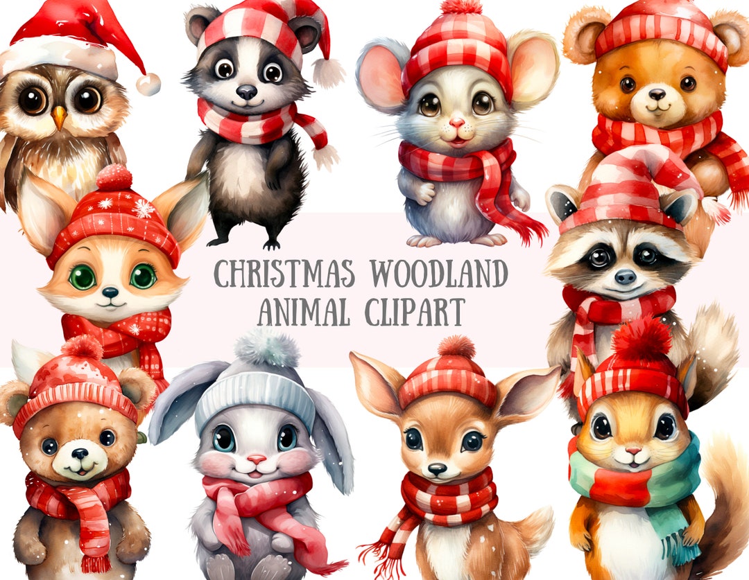 Watercolour Christmas Woodland Animal Clipart Xmas Deer Fox PNG Digital ...
