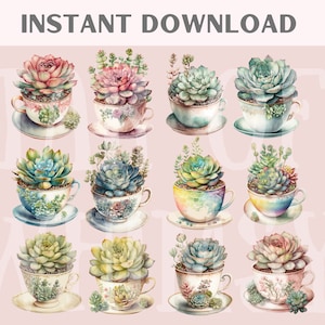 Watercolour Succulent Teacup Clipart Houseplants PNG Digital Image ...