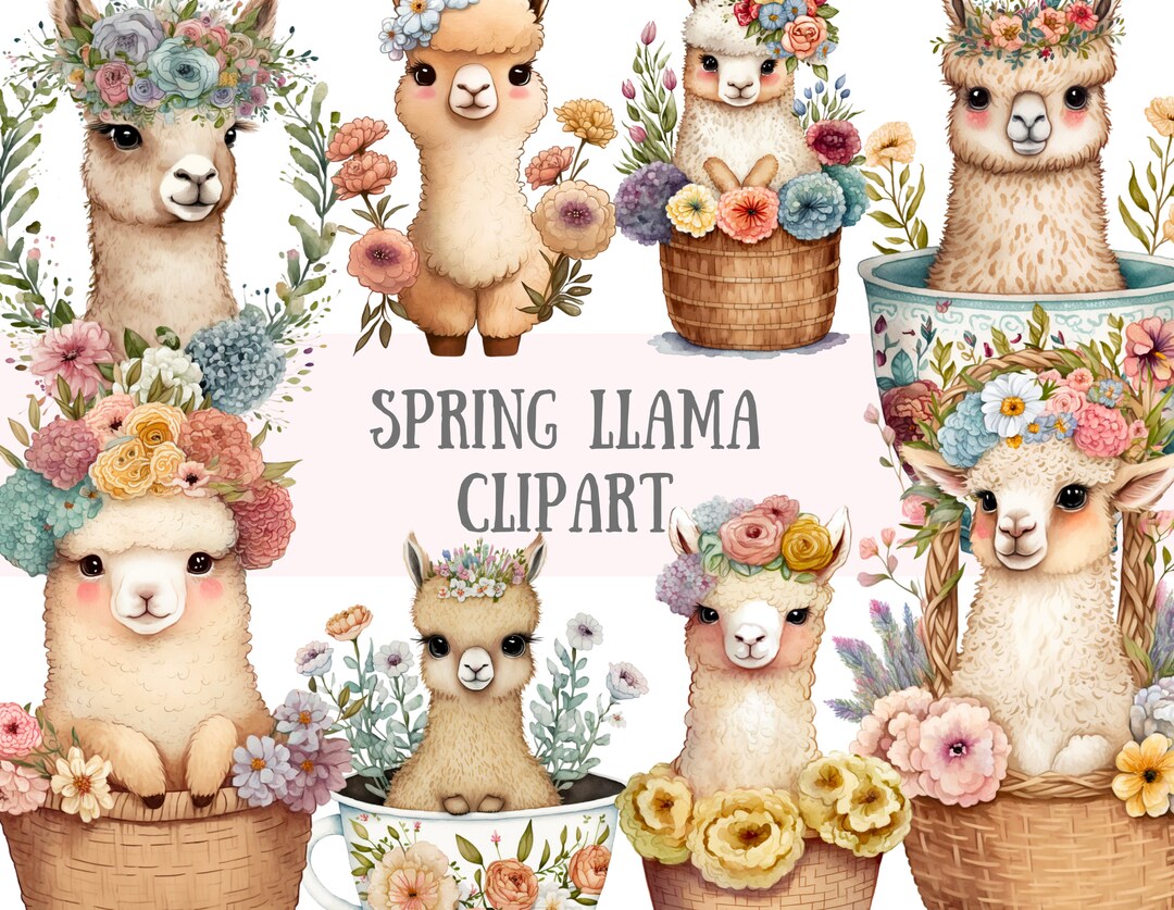 Watercolour Spring Llama Clipart - Easter Llamas PNG Digital Image ...