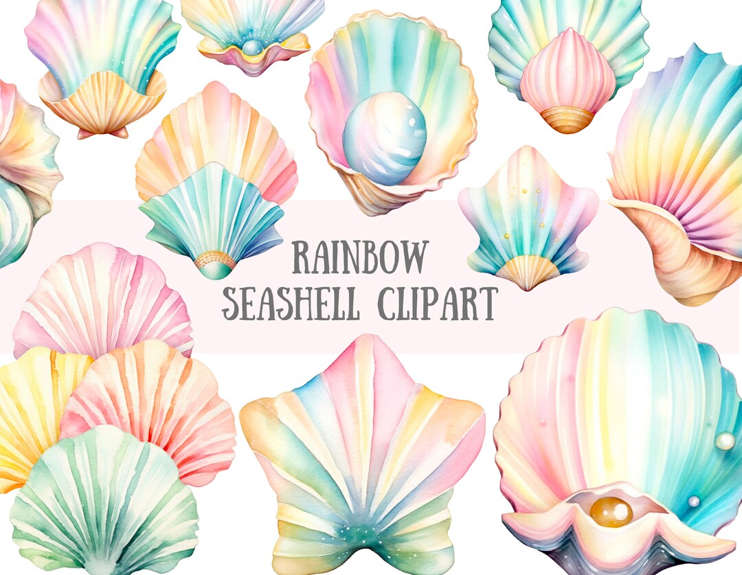 Watercolour Rainbow Seashell Clipart Beach Shells PNG Digital Image ...