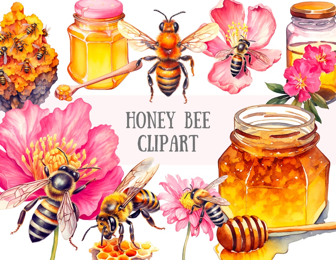 Watercolour Honey Bee Clipart Cute Honey Jar PNG Digital Image ...