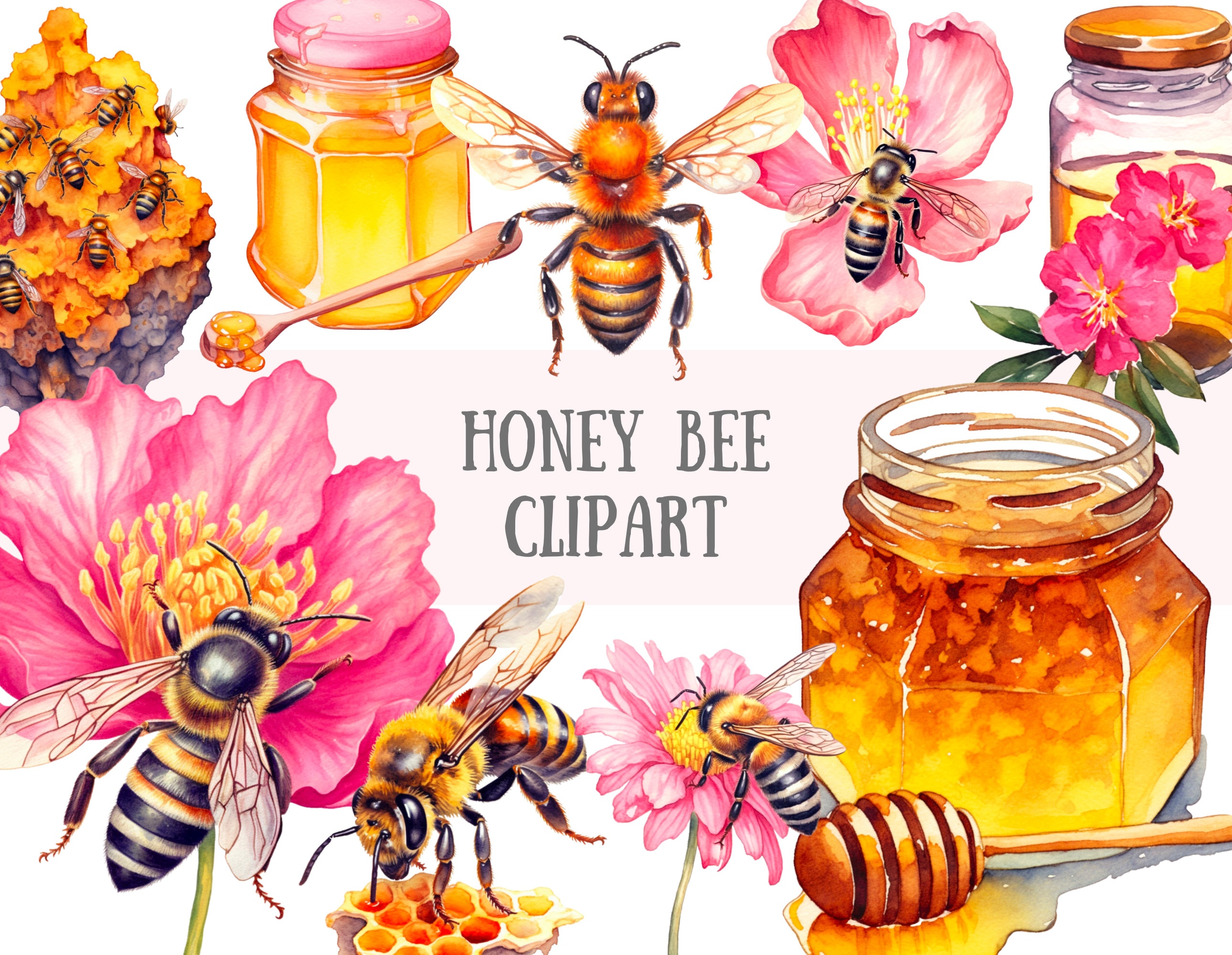 Watercolour Honey Bee Clipart Cute Honey Jar PNG Digital Image - Etsy