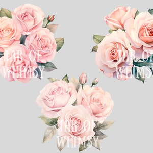 Watercolour Light Pink Rose Clipart Blush Rose Graphics PNG Digital ...