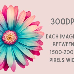 Watercolour Vibrant Daisies Clipart Spring Flower Elements PNG Digital ...