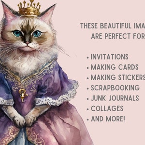 Watercolour Fairytale Cat Clipart Princess Cat PNG Digital Image ...