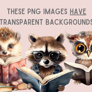 Watercolour Woodland Bookworm Clipart Animals Reading PNG Digital Image ...