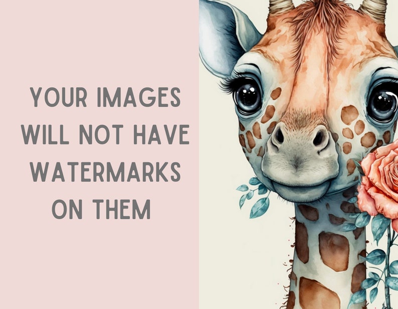 Watercolour Safari Animals Clipart - Lion Elephant Zebra PNG Digital ...