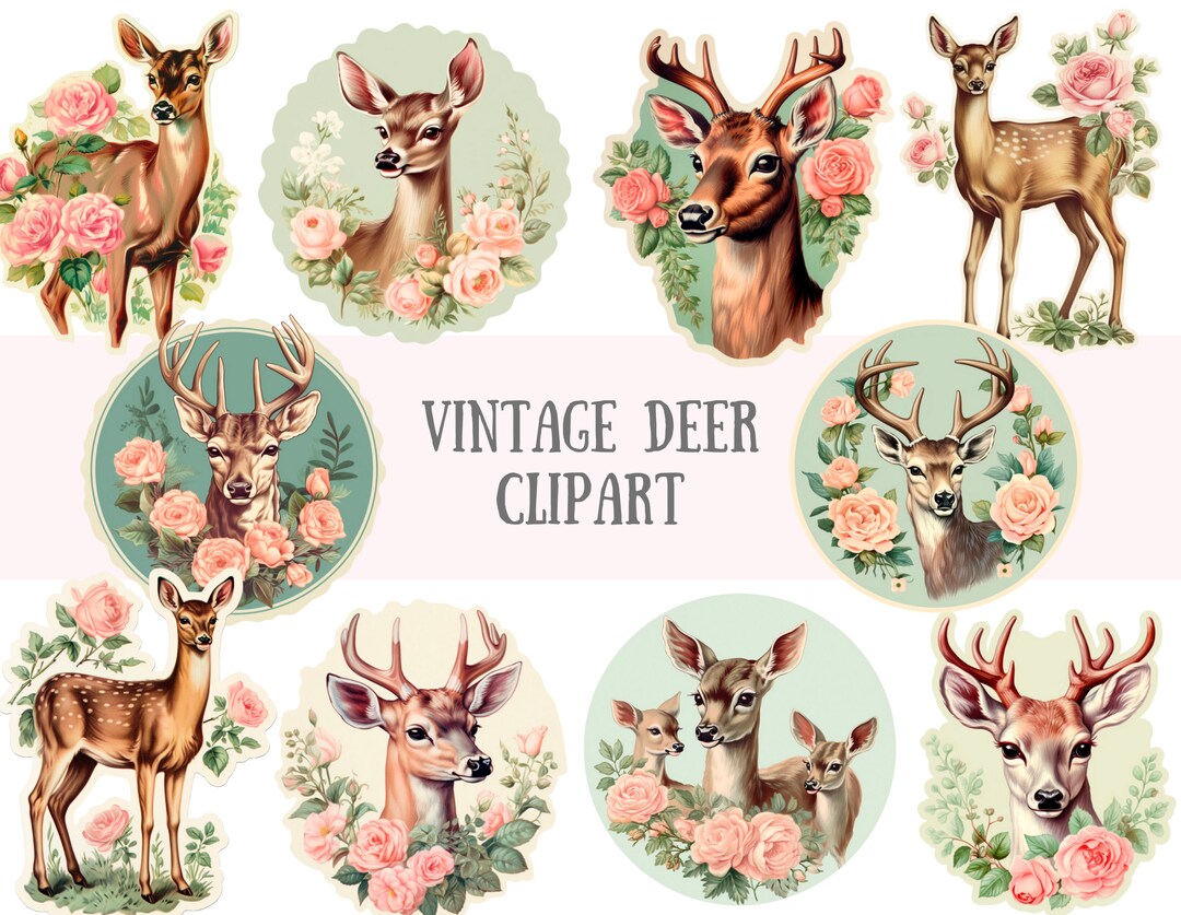 Watercolour Vintage Deer Clipart Shabby Chic Illustration PNG Digital ...