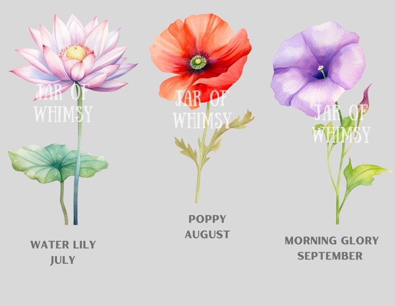 Watercolour Birth Flower Clipart Birthday Month Flower PNG Digital ...