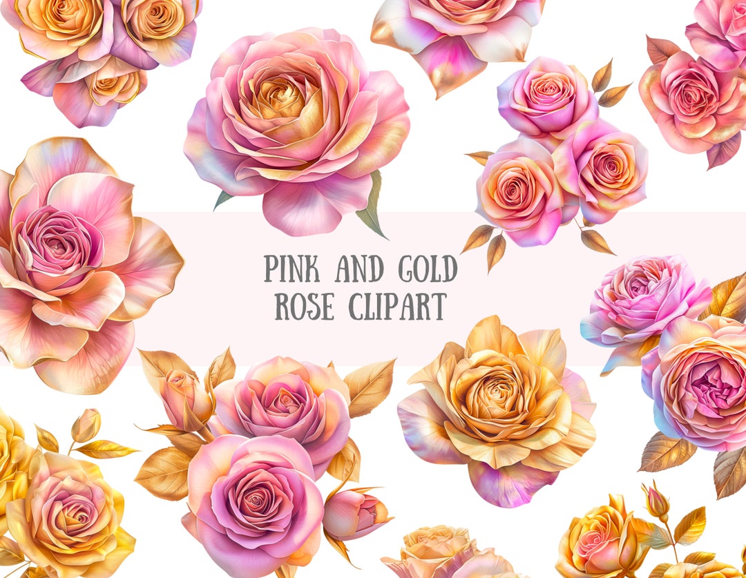 Watercolour Pink and Gold Rose Clipart Flower Floral Bouquet PNG ...