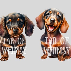Watercolour Dachshund Puppies Clipart - Sausage Dog PNG Digital Image ...