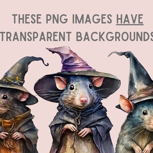 Watercolour Witchy Rat Clipart Gothic Halloween Rat Mice PNG Digital ...