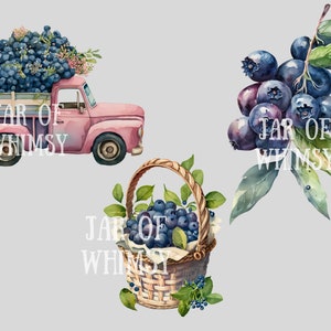Watercolour Blueberry Clipart - Blueberry Farm PNG Digital Image ...