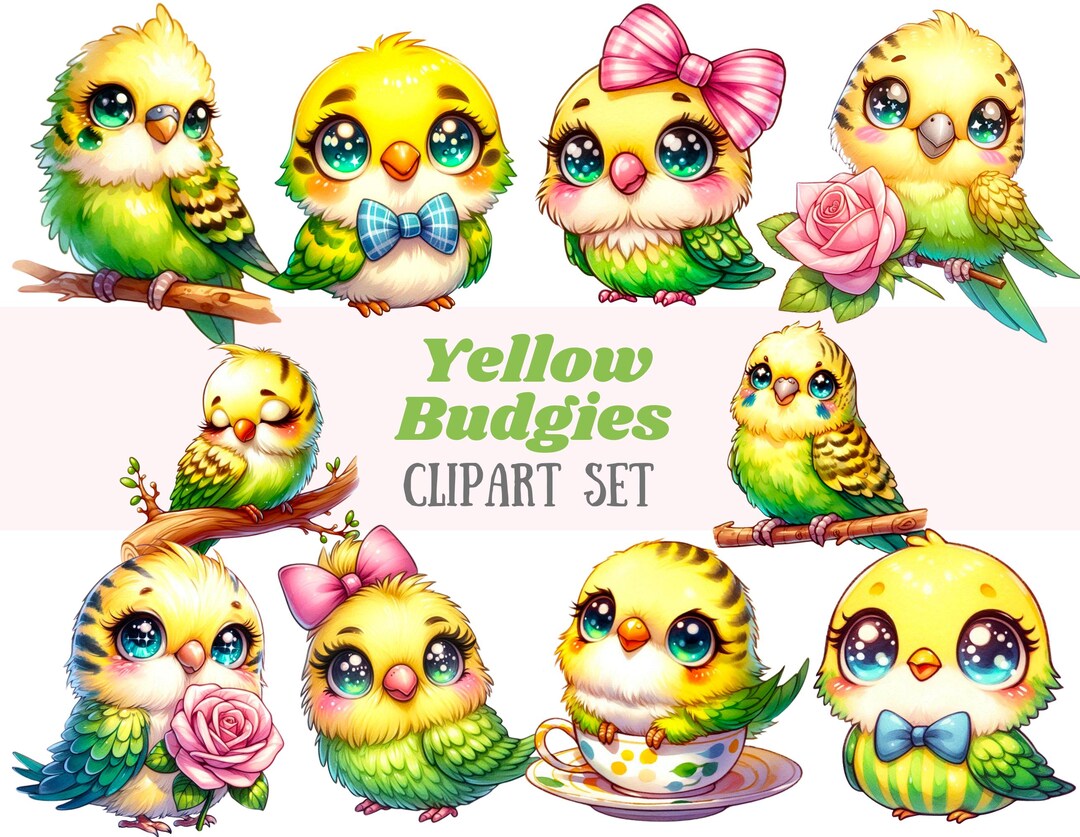 Watercolour Yellow Budgie Clipart Chibi Pet Bird Budgerigar PNG Digital ...