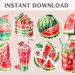 Watercolour Watermelon Clipart Summer Fruit PNG Digital Image Downloads ...