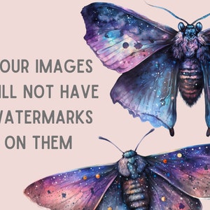 Watercolour Galaxy Moths Clipart Celestial Moth PNG Digital Image ...