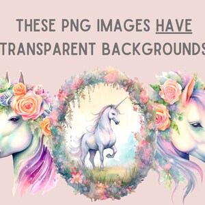 Watercolour Spring Unicorn Clipart Fantasy Horses PNG Digital Image ...