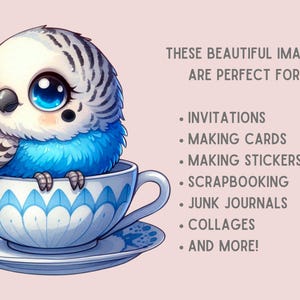 Watercolour Blue Budgie Clipart Chibi Pet Bird Blue Budgerigar PNG ...