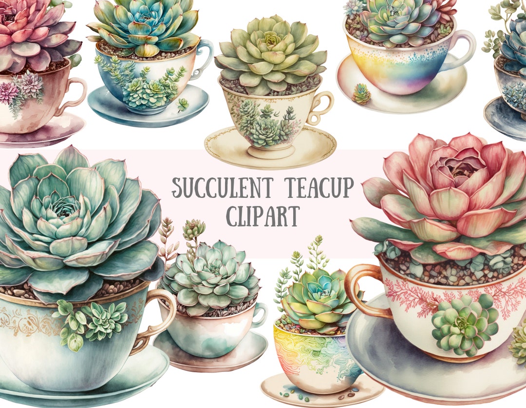 Watercolour Succulent Teacup Clipart Houseplants PNG Digital Image ...