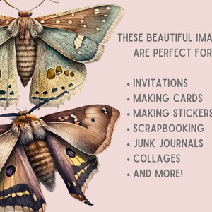 Watercolour Boho Moths Clipart Rustic Moth PNG Digital Image Downloads ...
