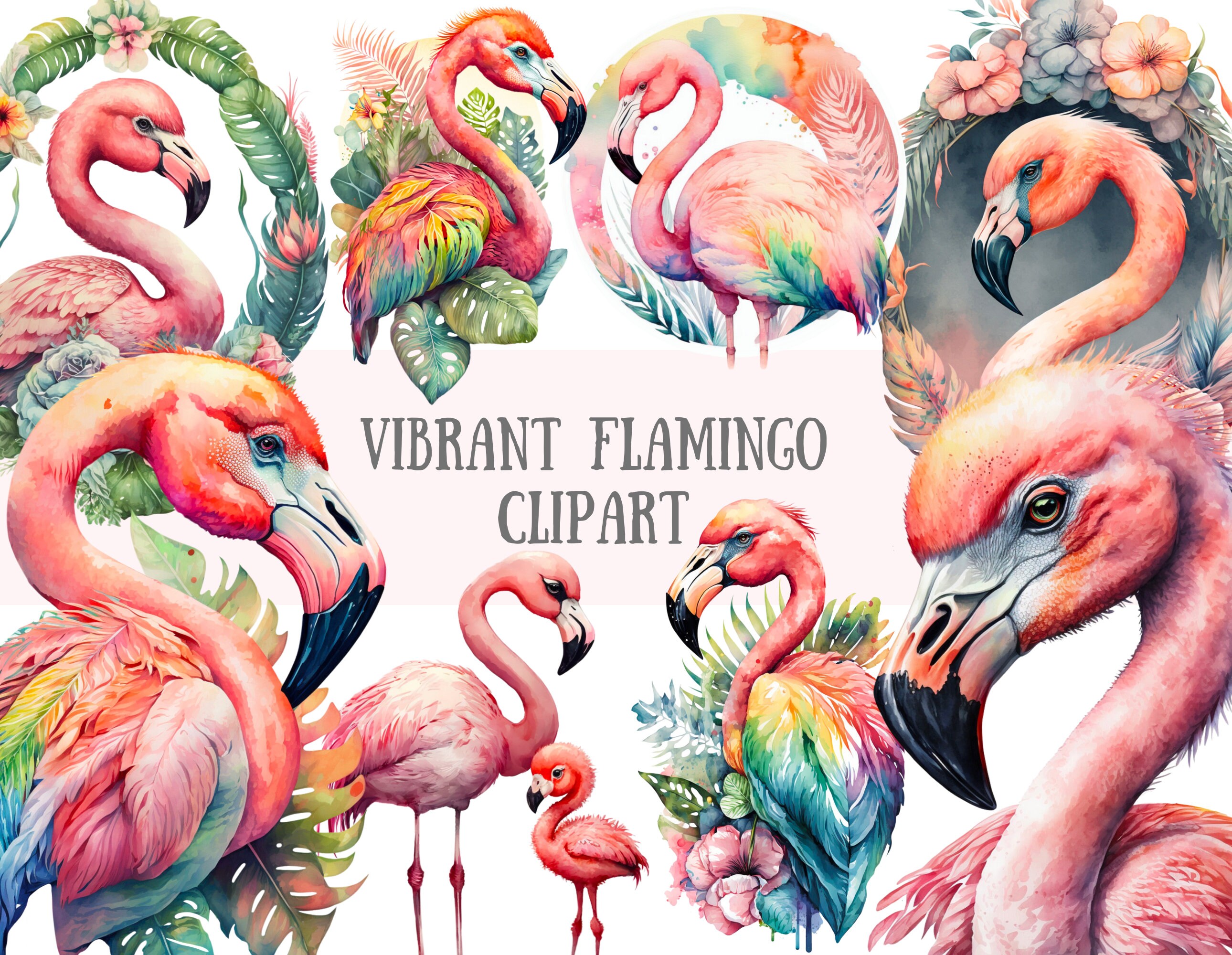 Watercolour Vibrant Flamingo Clipart Tropical Bird PNG Digital Image ...