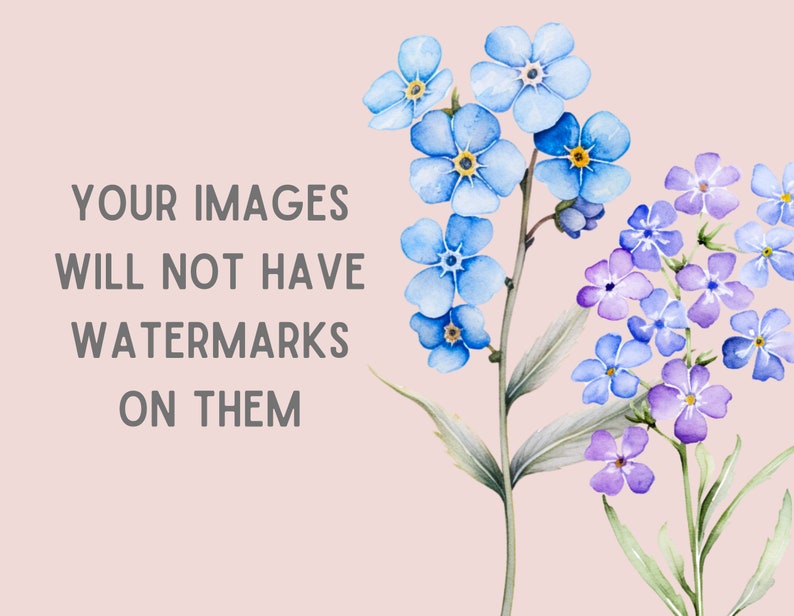 Watercolour Forget Me Not Clipart Spring Flower Elements PNG Digital ...