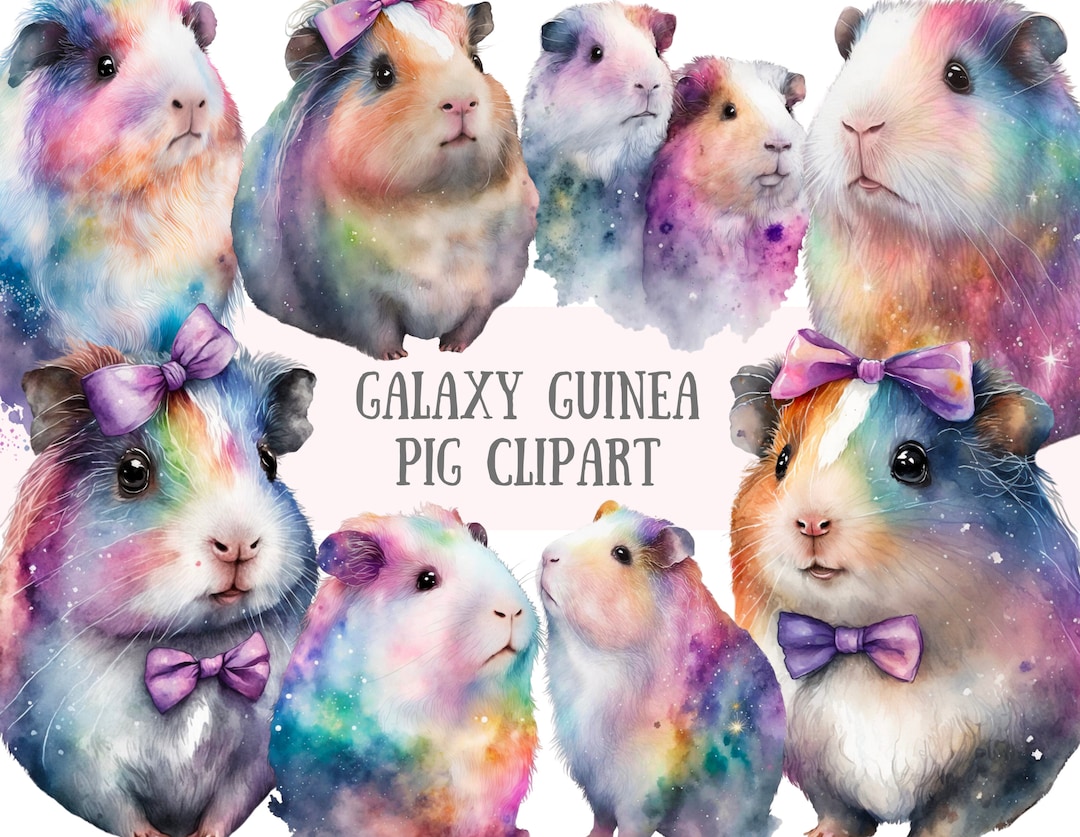 Watercolour Galaxy Guinea Pig Clipart Hamster Mouse PNG Digital Image ...