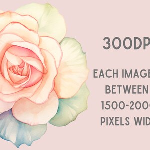 Watercolour Vintage Rose Clipart Pastel Flower Graphics PNG Digital ...
