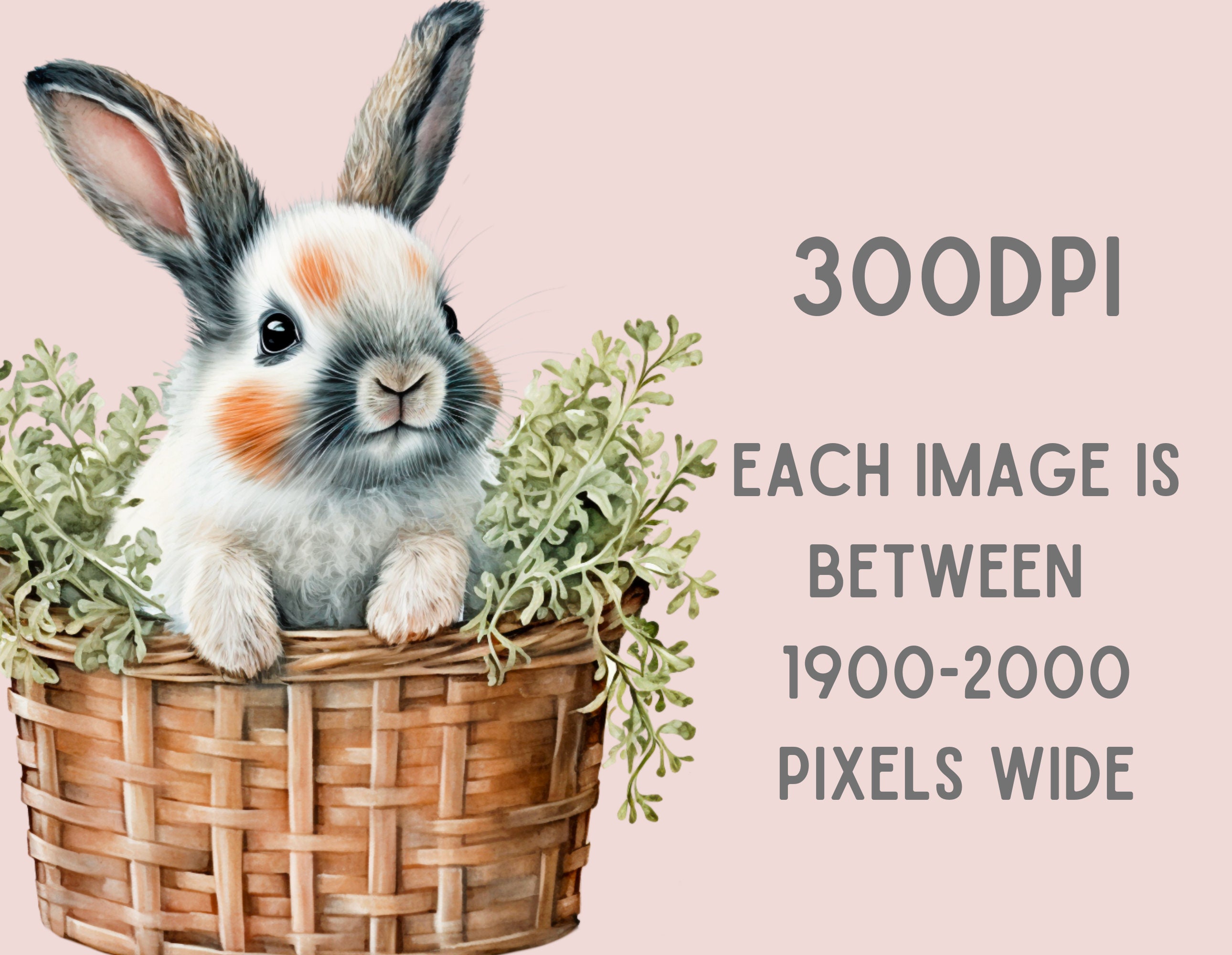 Watercolour Bunny and Carrot Clipart - Easter Basket PNG Digital Image ...
