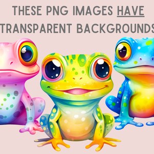 Watercolour Bright Rainbow Frog Clipart Kawaii Frogs PNG Digital Image ...
