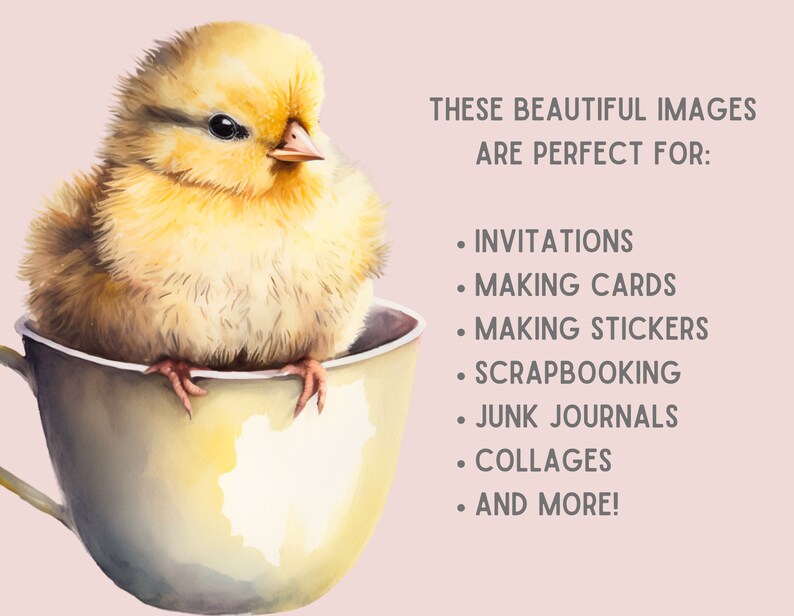 Watercolour Easter Chick Clipart - Spring Easter Basket PNG Digital ...