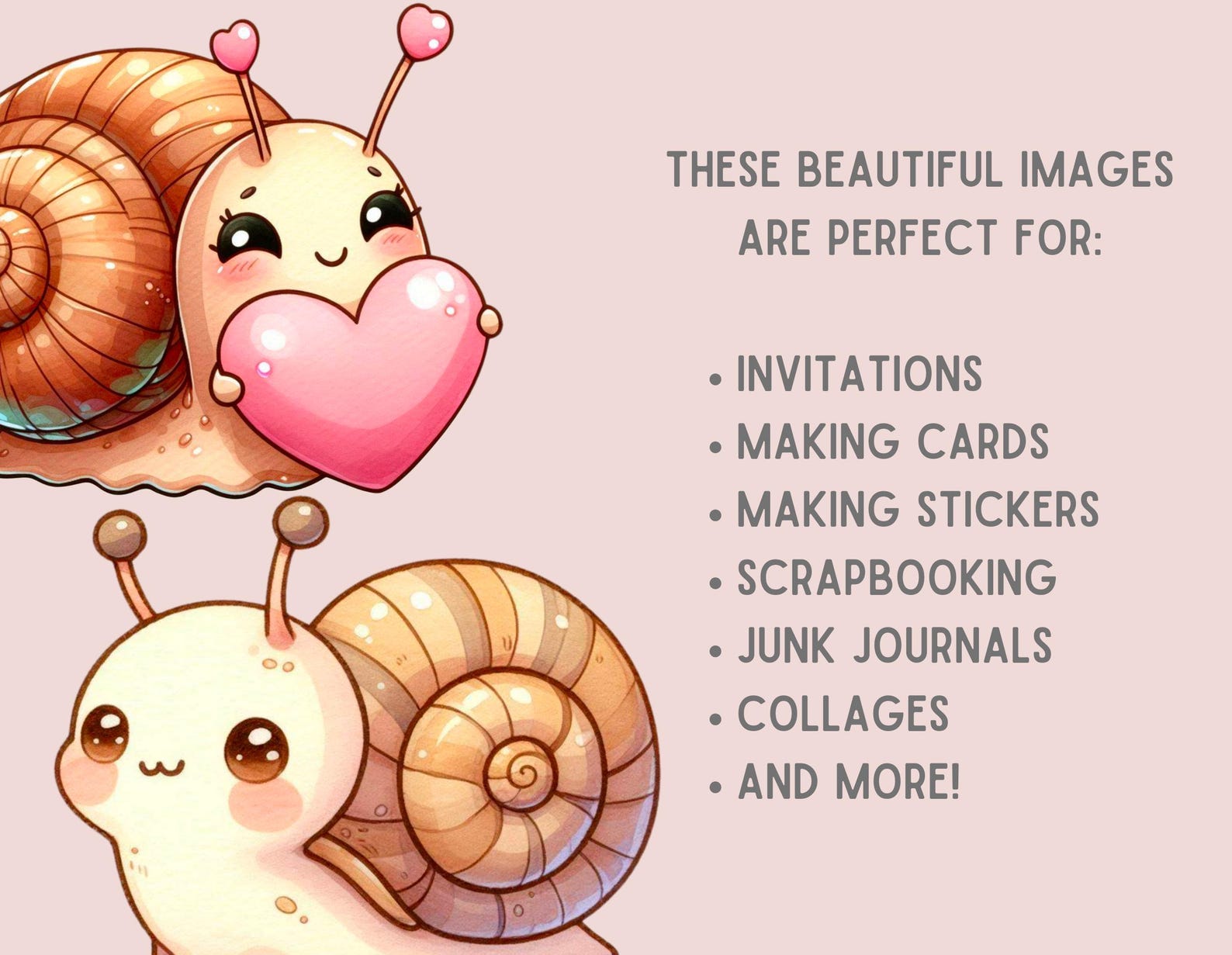 Watercolour Kawaii Snail Clipart Chibi Snail Mail PNG Digital Image ...