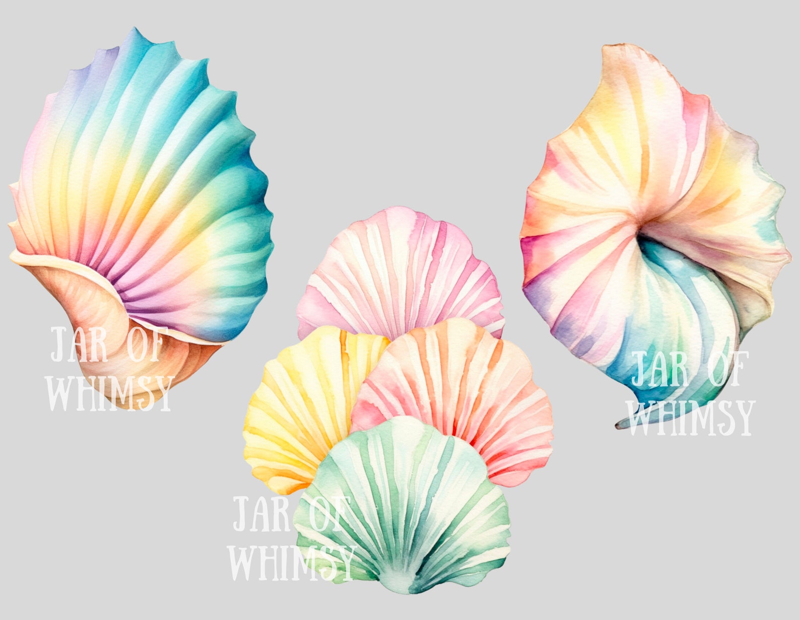 Watercolour Rainbow Seashell Clipart Beach Shells PNG Digital Image ...