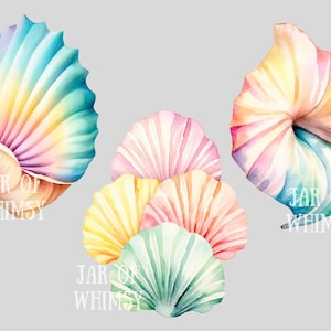 Watercolour Rainbow Seashell Clipart Beach Shells PNG Digital Image ...