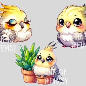 Watercolour Kawaii Cockatiel Clipart Chibi Pet Bird PNG Digital Image ...