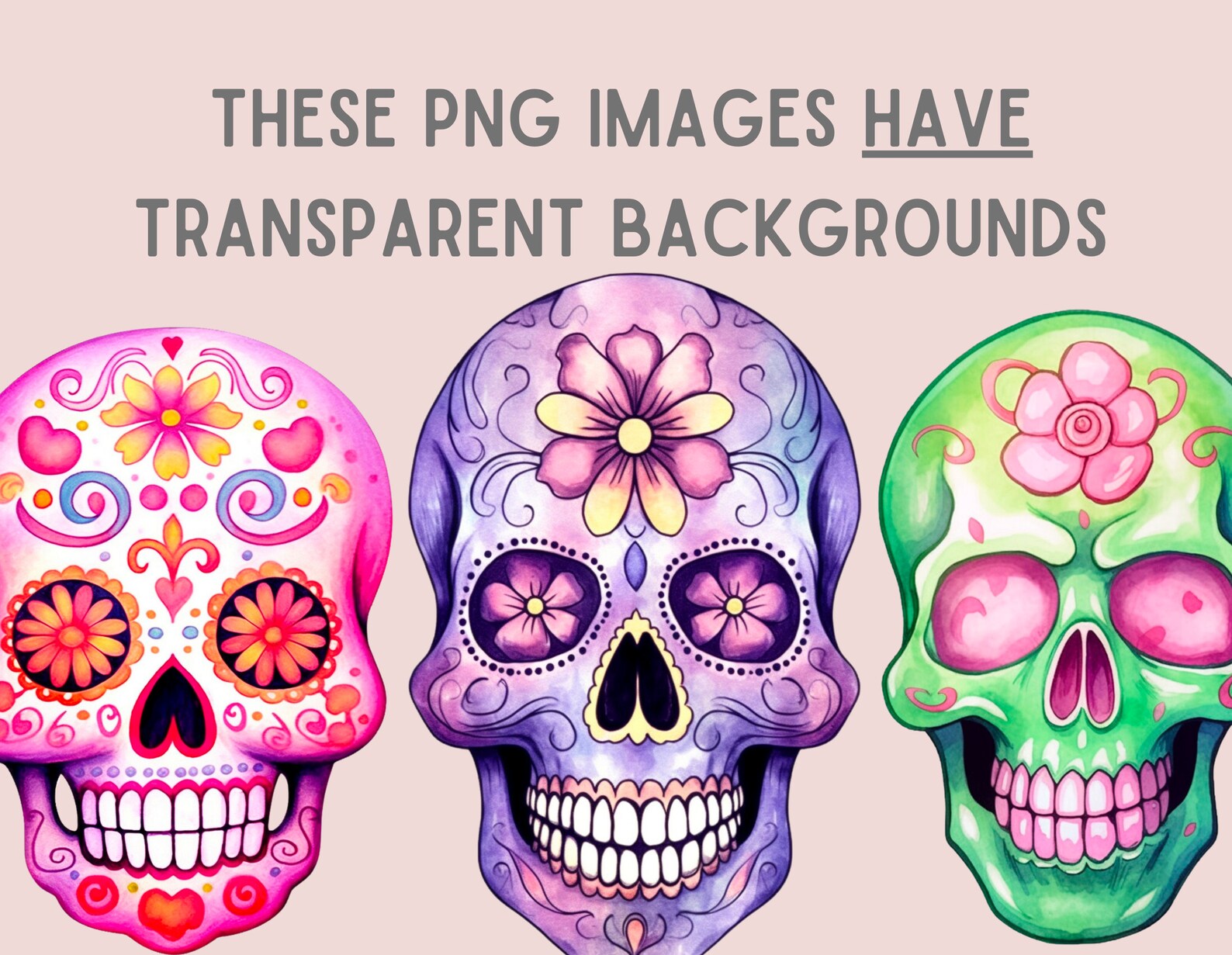 Watercolour Sugar Skull Clipart Day of the Dead Calavera Skull PNG ...