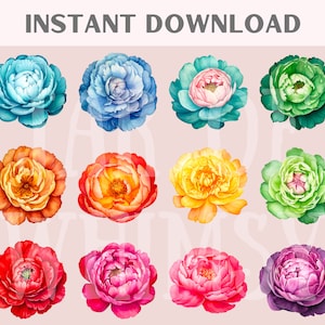 Watercolour Vibrant Peony Clipart Spring Flower Elements PNG Digital ...