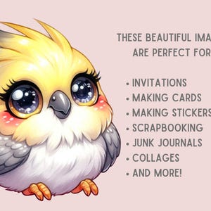 Watercolour Kawaii Cockatiel Clipart Chibi Pet Bird PNG Digital Image ...