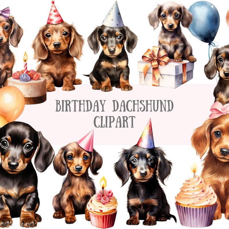 Dachshund Birthday - Etsy