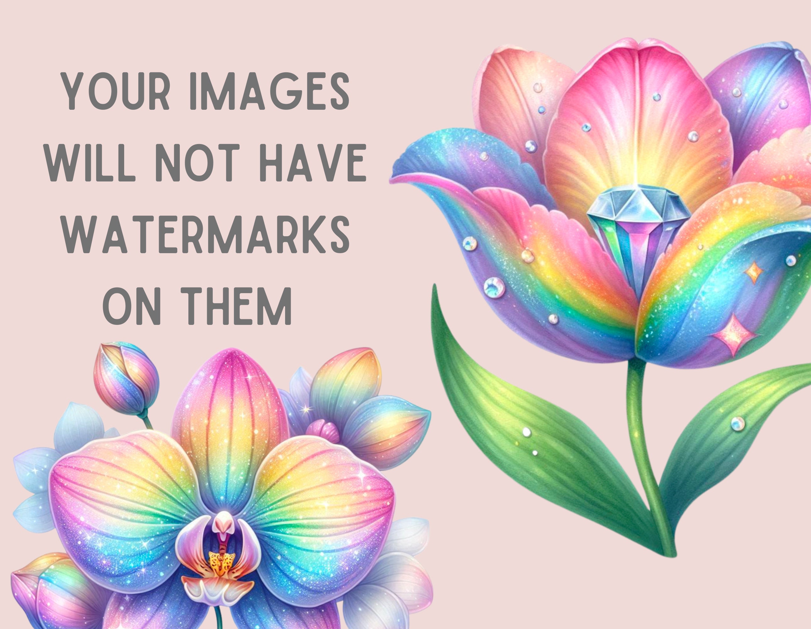 Watercolour Rainbow Flowers Clipart Spring Flower Elements PNG Digital ...