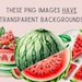 Watercolour Watermelon Clipart Summer Fruit PNG Digital Image Downloads ...