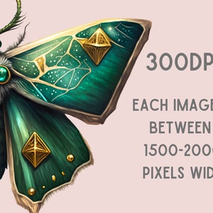 Watercolour Bejeweled Moth Clipart Royal Moths PNG Digital Image ...
