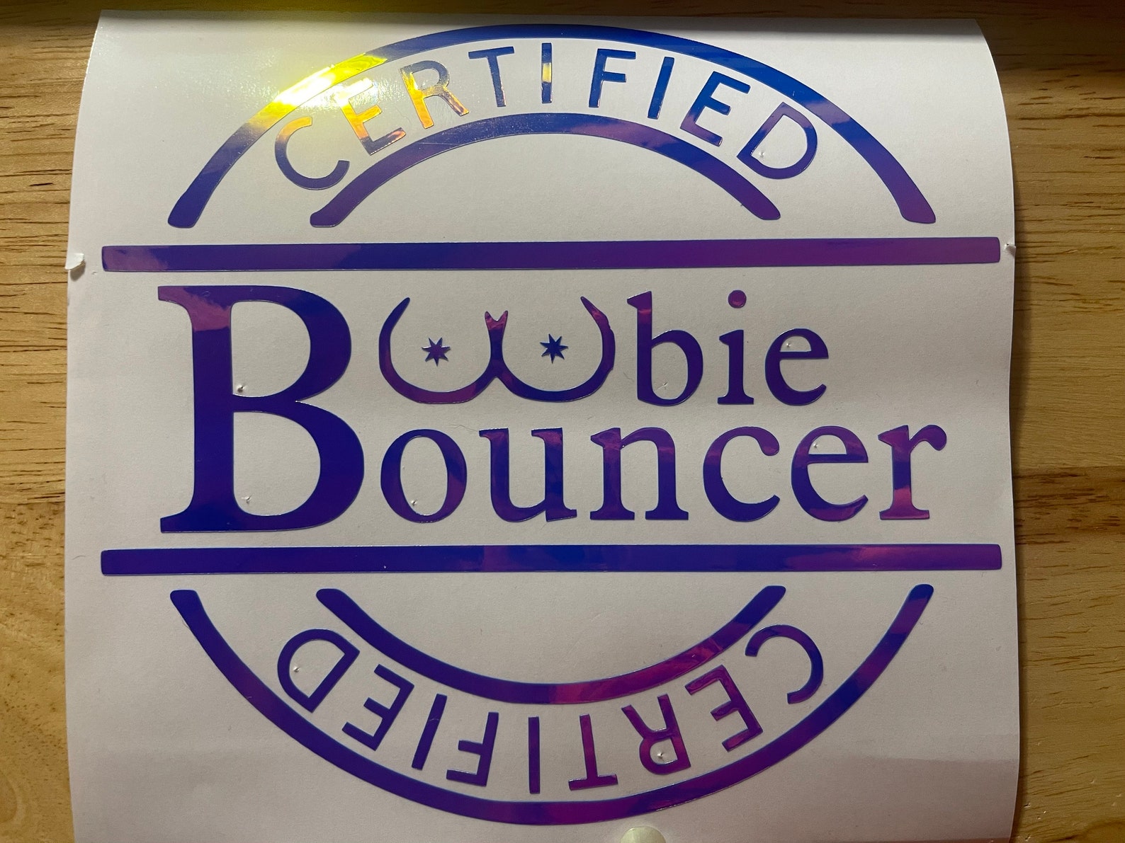 Certified B**bie Bouncer Decal! Truck Decal | Car Decal | Cooler Decal ...