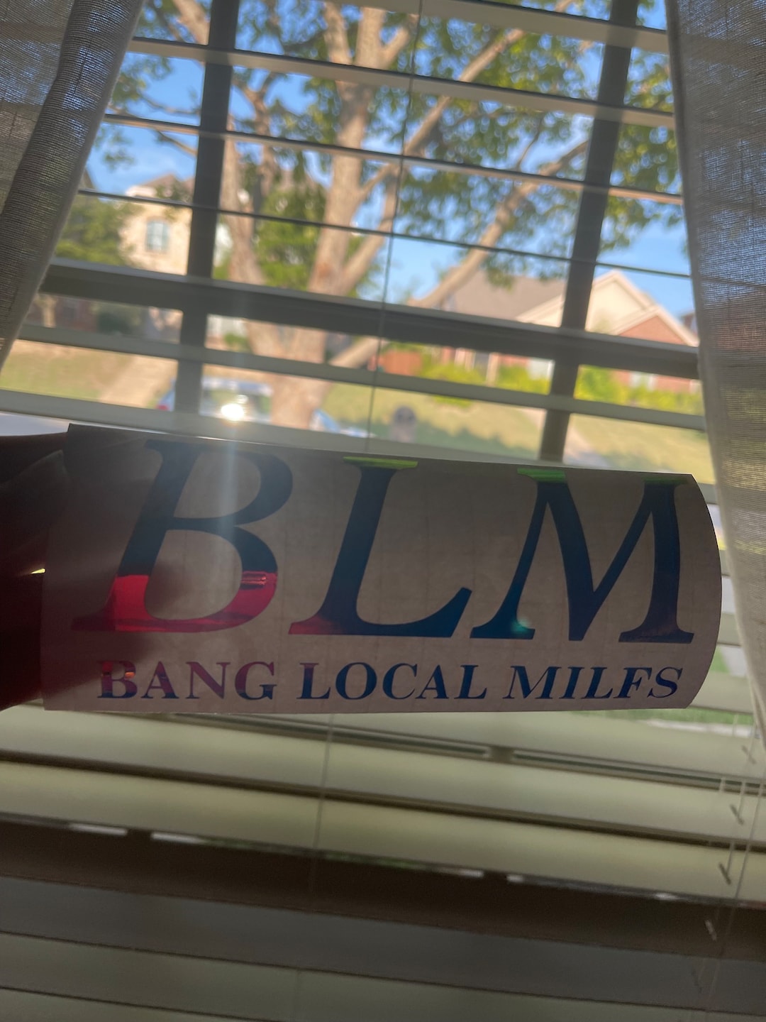 BLM ( Bang Local M*lfs ) Vinyl Decal! Truck Decal | Car Decal | Diesel ...